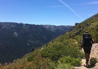 Pacific Crest Trail Section Profile: Northern California - The Trek