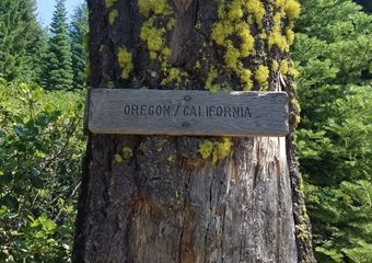 Pacific Crest Trail Section Profile: Northern California - The Trek